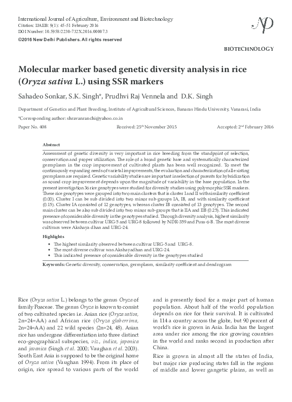(PDF) Molecular marker based genetic diversity analysis in rice (Oryza sativa L.) using SSR markers