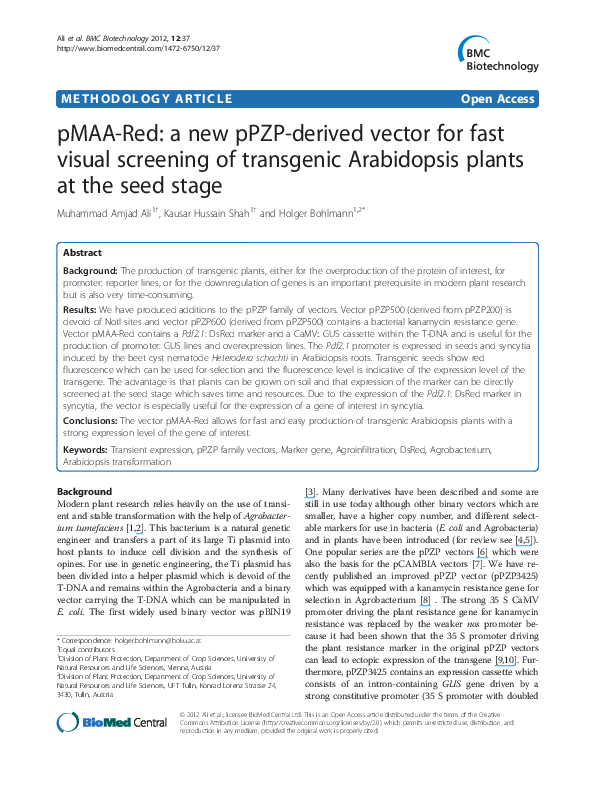 (PDF) pMAA-Red: a new pPZP-derived vector for fast visual screening of ...
