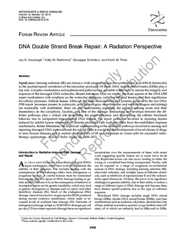 (PDF) DNA Double Strand Break Repair: A Radiation Perspective