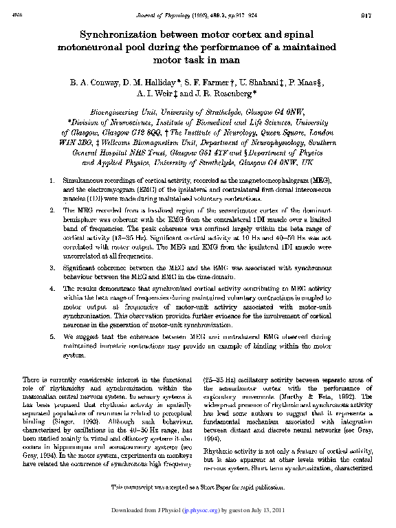 Pdf Synchronization Between Motor Cortex And Spinal Motoneuronal Pool During The Performance
