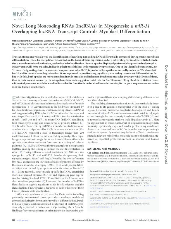 (PDF) Novel Long Noncoding RNAs (lncRNAs) in Myogenesis: a miR-31 ...