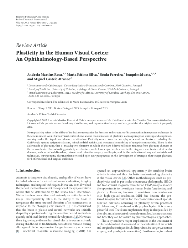 (PDF) Plasticity in the Human Visual Cortex: An Ophthalmology-Based ...