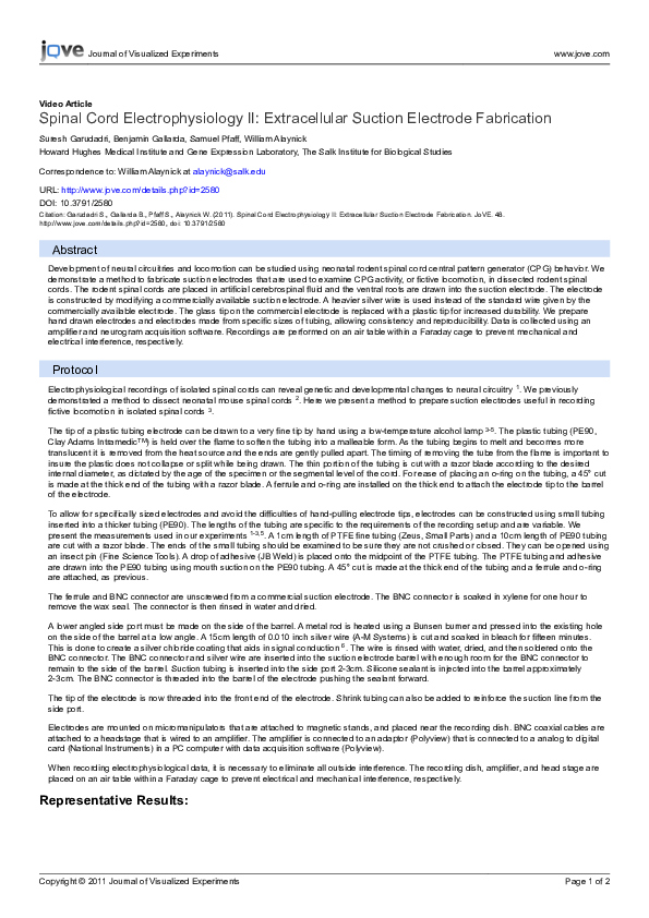 (PDF) Spinal Cord Electrophysiology II: Extracellular Suction Electrode ...