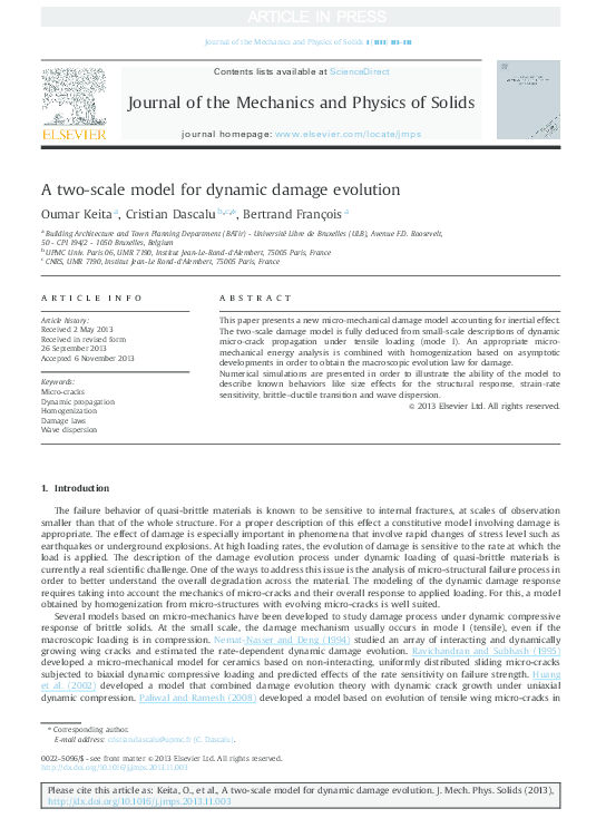 (PDF) A two-scale model for dynamic damage evolution