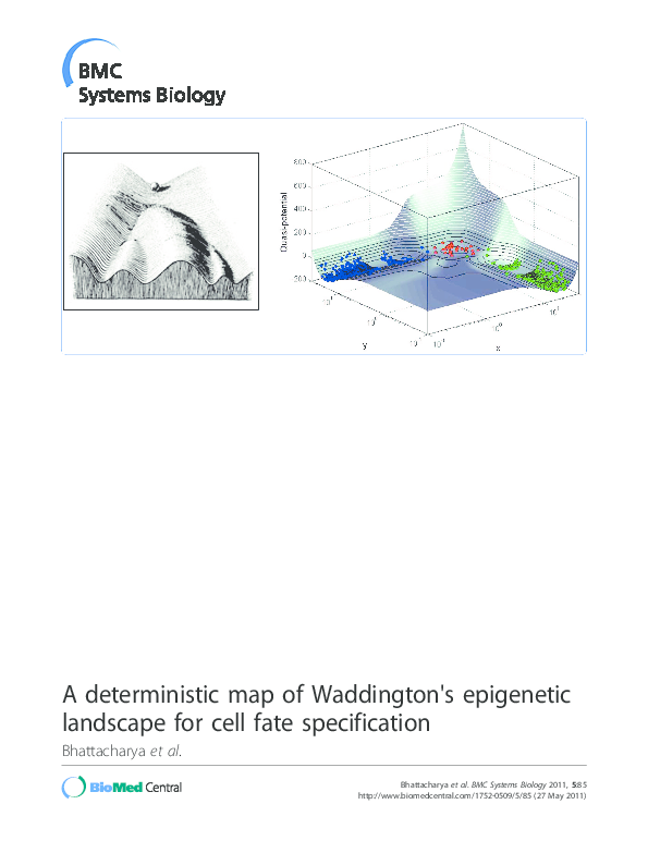 (PDF) A deterministic map of Waddington's epigenetic landscape for cell ...