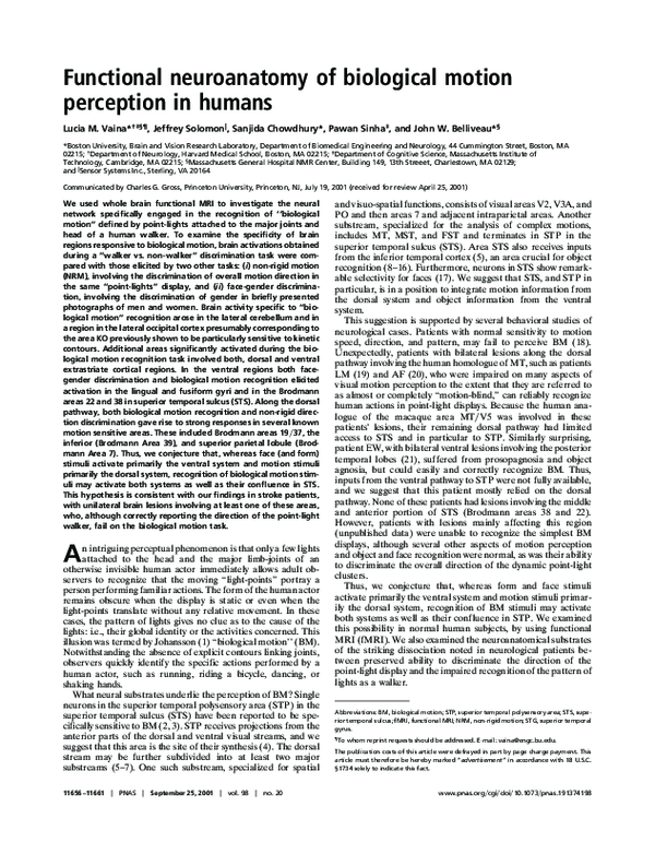 (PDF) Functional neuroanatomy of biological motion perception in humans