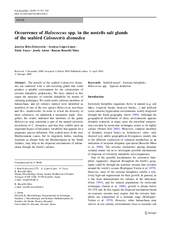 (PDF) Occurrence of Halococcus spp. in the nostrils salt glands of the ...