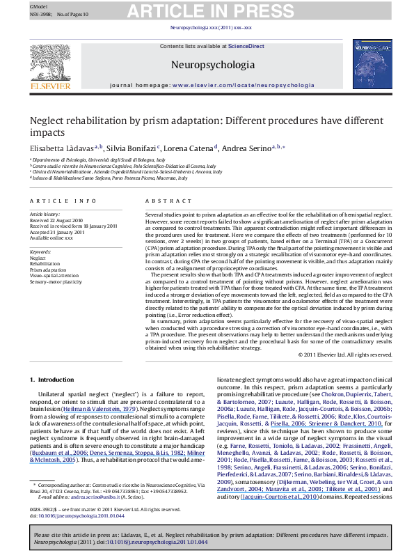 (PDF) Neglect rehabilitation by prism adaptation: Different procedures ...