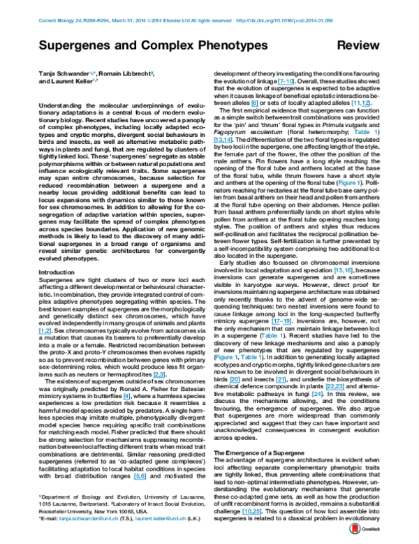 (PDF) Supergenes and Complex Phenotypes