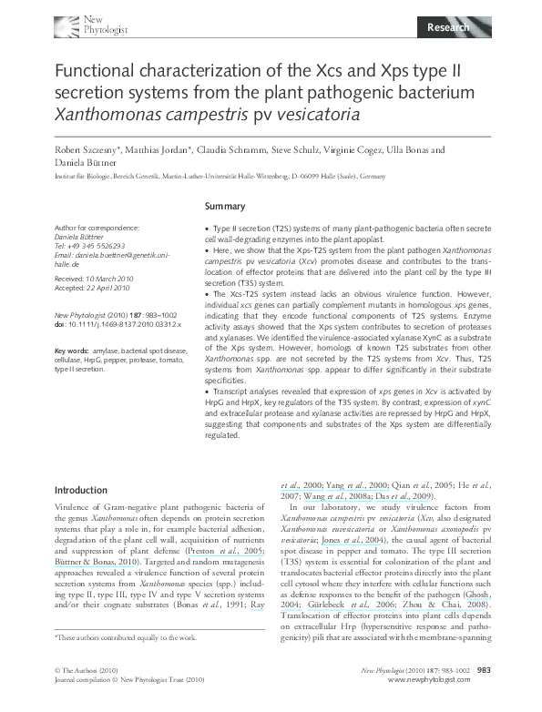 (PDF) Type III-dependent translocation of the Xanthomonas AvrBs3 ...