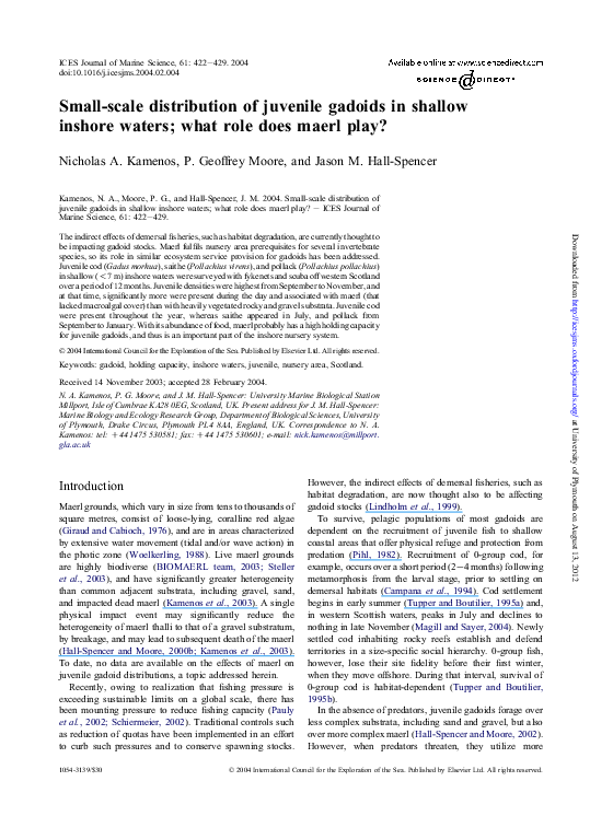 (PDF) Small-scale distribution of juvenile gadoids in shallow inshore ...