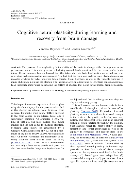 (PDF) Chapter 13 Cognitive neural plasticity during learning and ...