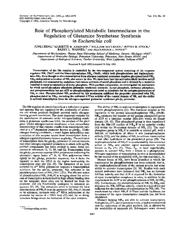 (PDF) Role of phosphorylated metabolic intermediates in the regulation ...