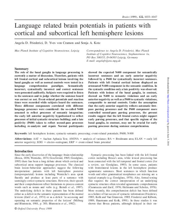 (PDF) Language related brain potentials in patients with cortical and ...
