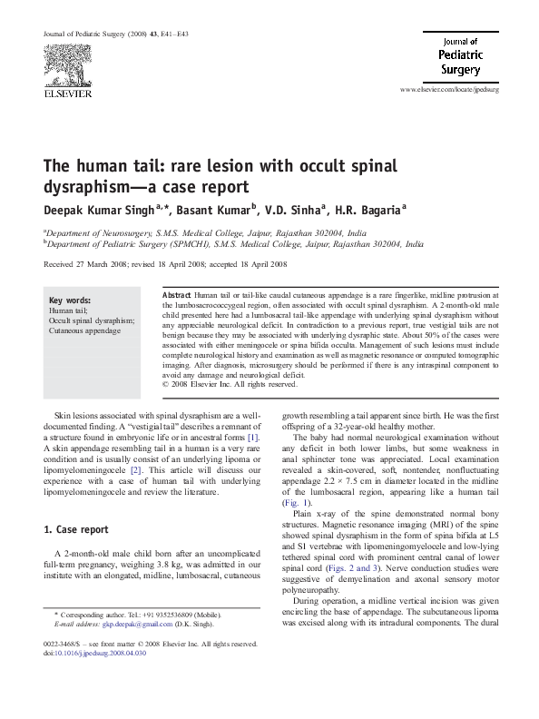 (PDF) The human tail: rare lesion with occult spinal dysraphism—a case ...
