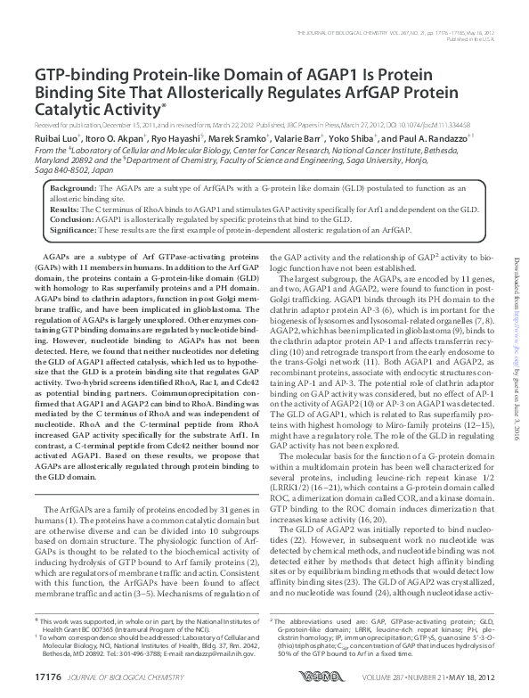 Pdf Gtp Binding Protein Like Domain Of Agap1 Is Protein Binding Site That Allosterically
