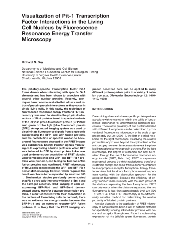 (PDF) Visualization of Pit1 Transcription Factor Interactions in the Living Cell Nucleus by ...
