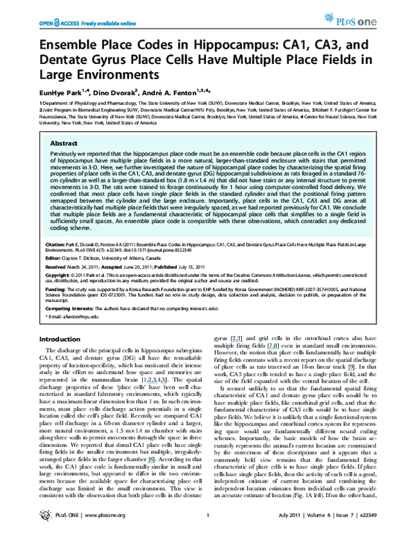 (PDF) Ensemble Place Codes in Hippocampus: CA1, CA3, and Dentate Gyrus Place Cells Have Multiple ...
