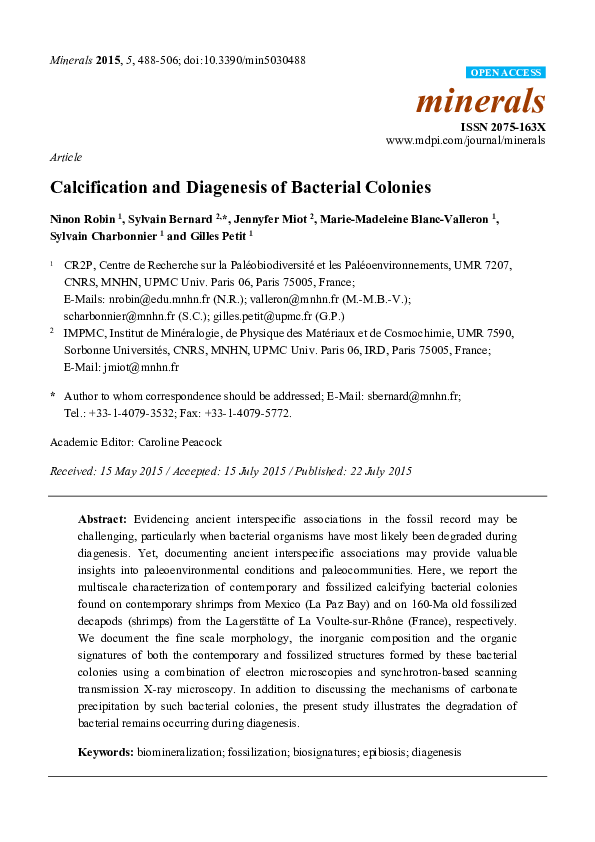 (PDF) Calcification and Diagenesis of Bacterial Colonies
