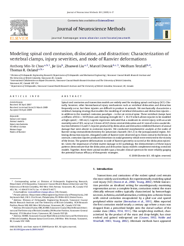 (PDF) Modeling spinal cord contusion, dislocation, and distraction ...