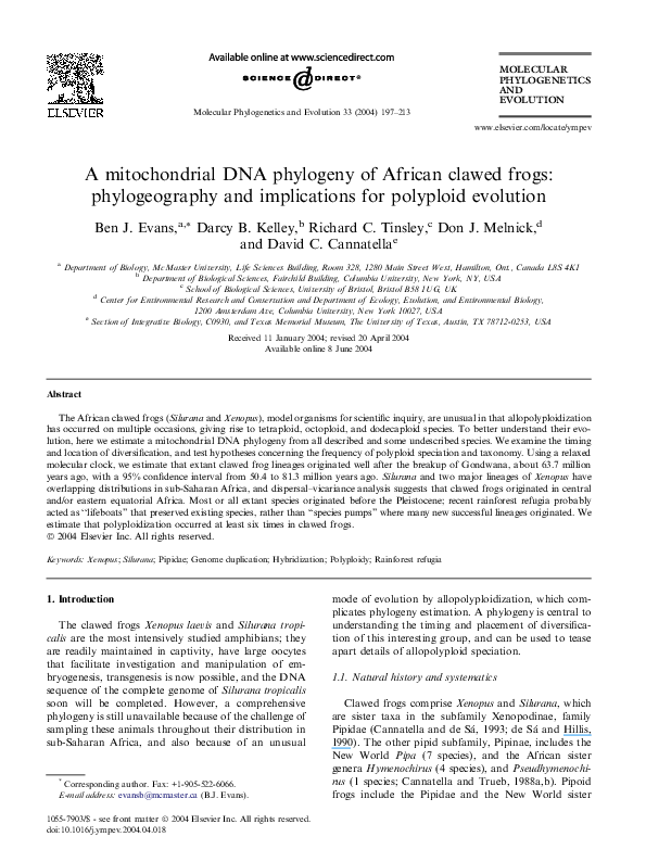 (PDF) A mitochondrial DNA phylogeny of African clawed frogs: phylogeography and implications for ...