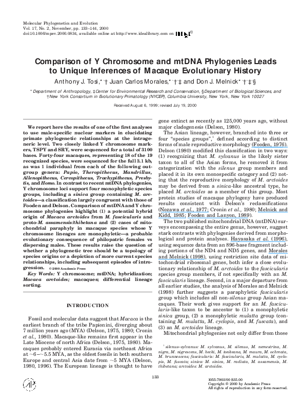 (PDF) Comparison of Y chromosome and mtDNA phylogenies leads to unique ...