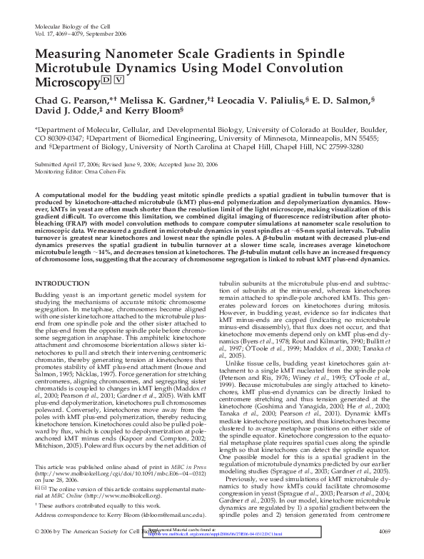(PDF) Measuring Nanometer Scale Gradients in Spindle Microtubule ...
