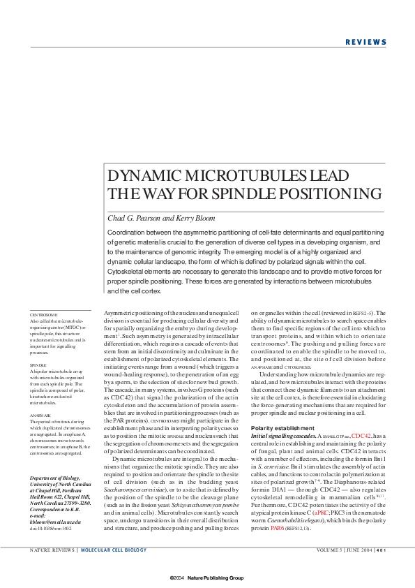 (PDF) Dynamic Microtubules Lead the Way for Spindle Positioning