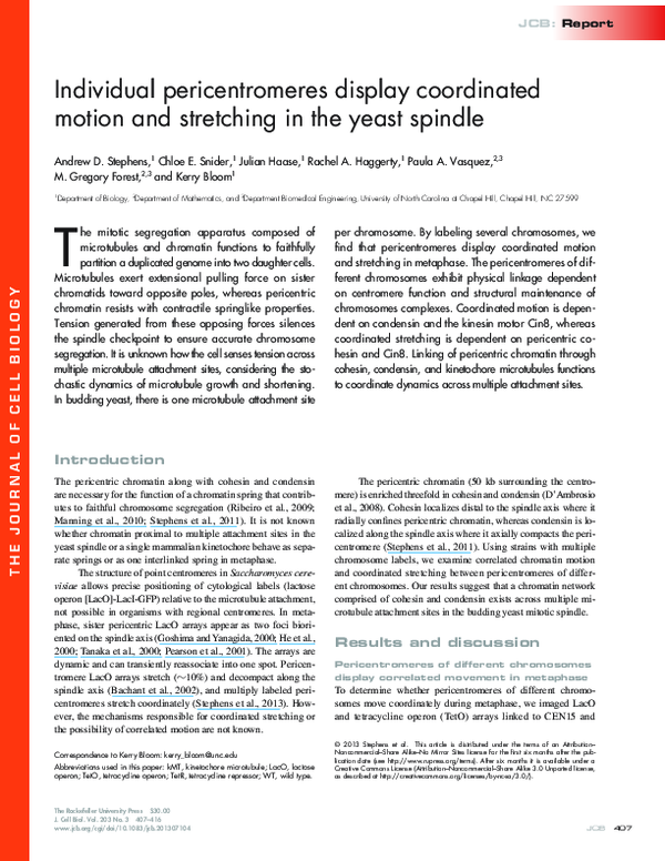 (PDF) Individual pericentromeres display coordinated motion and stretching in the yeast spindle