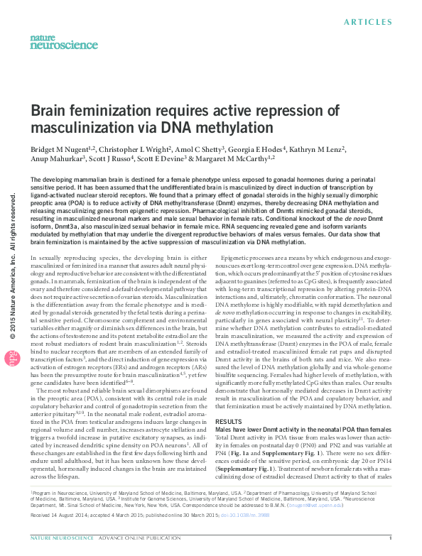 (PDF) Brain feminization requires active repression of masculinization ...
