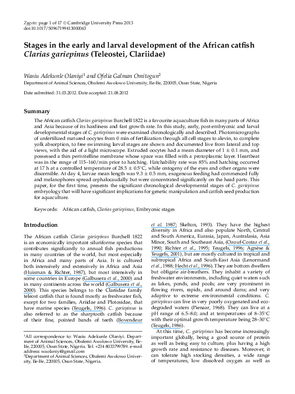 (PDF) Stages in the early and larval development of the African catfish ...