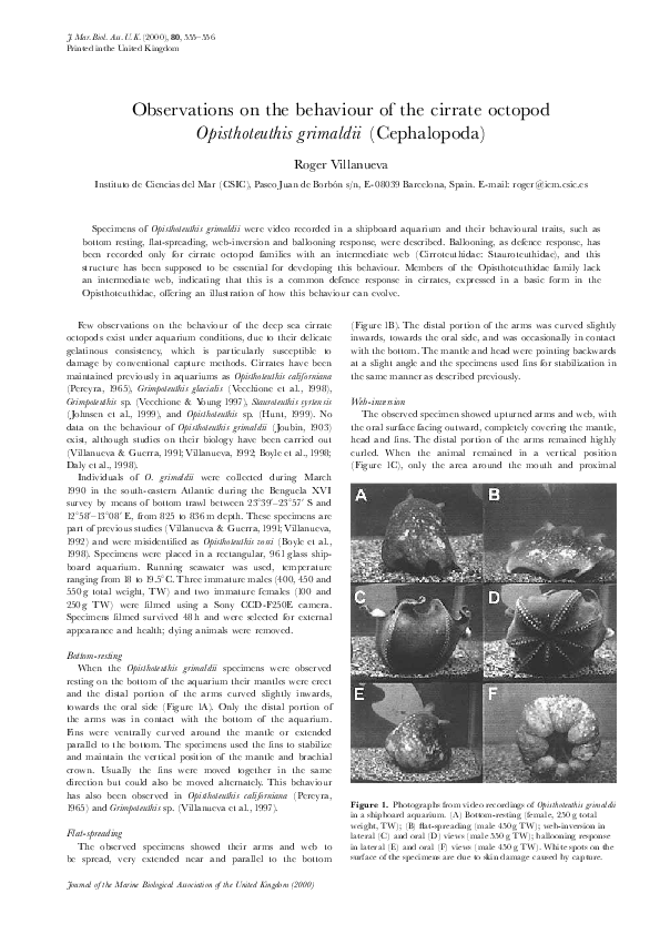 (PDF) Observations on the behaviour of the cirrate octopod ...