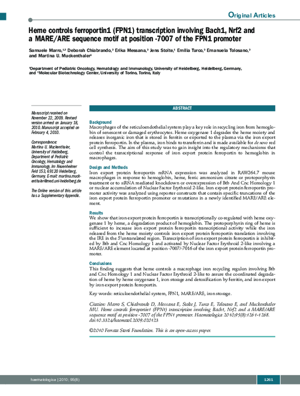 (PDF) Heme controls ferroportin1 (FPN1) transcription involving Bach1 ...