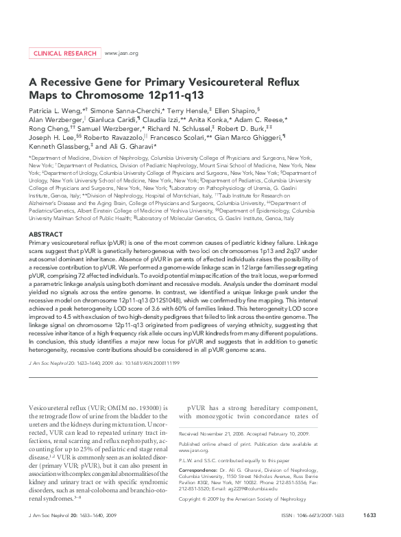 (PDF) A Recessive Gene for Primary Vesicoureteral Reflux Maps to Chromosome 12p11-q13