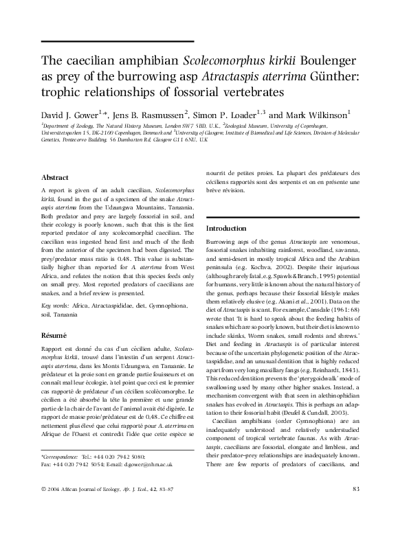 (PDF) The caecilian amphibian Scolecomorphus kirkii Boulenger as prey ...