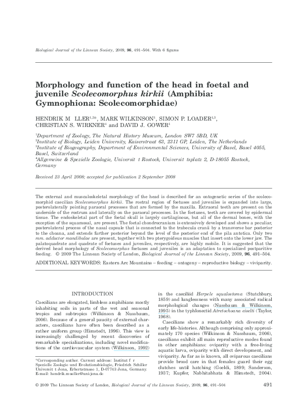 (PDF) Morphology and function of the head in foetal and juvenile ...