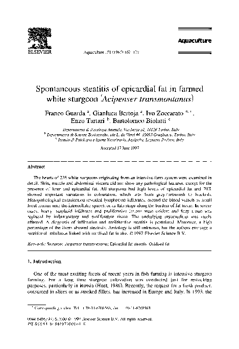 (PDF) Spontaneous steatitis of epicardial fat in farmed white sturgeon ...