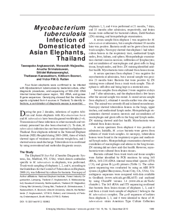 (PDF) Mycobacterium tuberculosis Infection of Domesticated Asian ...