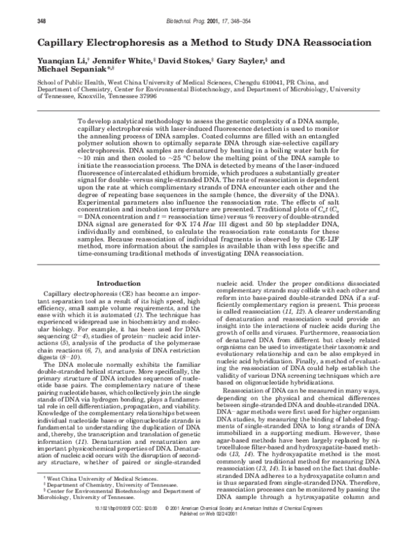 (PDF) Capillary Electrophoresis as a Method to Study DNA Reassociation
