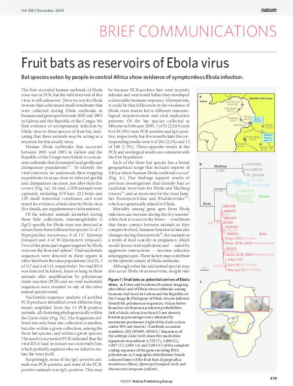(PDF) Fruit bats as reservoirs of Ebola virus