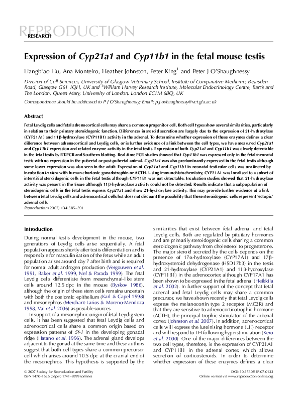 (PDF) Expression of Cyp21a1 and Cyp11b1 in the fetal mouse testis
