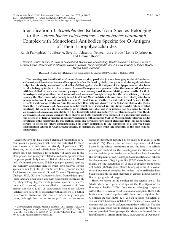 (PDF) Identification of Acinetobacter isolates from species belonging ...