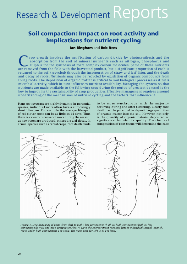 (PDF) Soil compaction: Impact on root activity and implications for ...