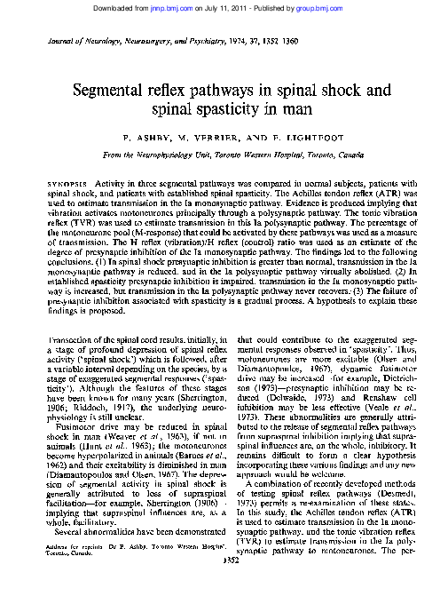 (PDF) Segmental reflex pathways in spinal shock and spinal spasticity ...