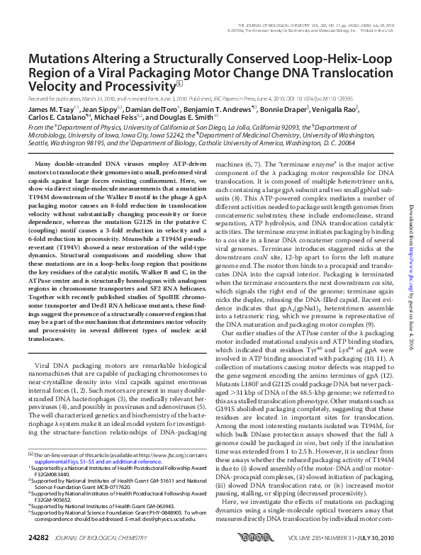 (PDF) Mutations Affecting a Viral Motor's DNA Translocation Dynamics