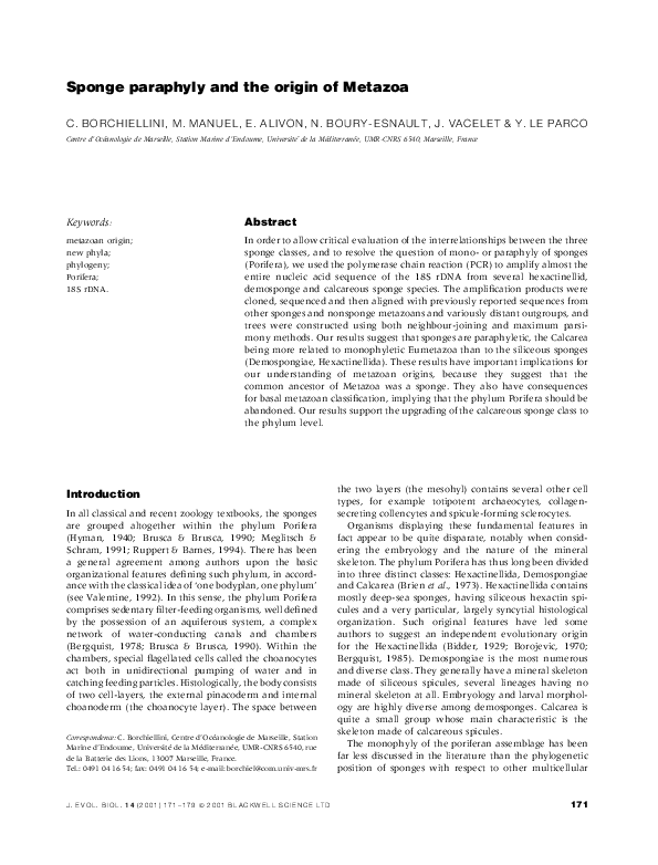 (PDF) Sponge paraphyly and the origin of Metazoa