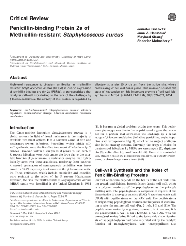(PDF) Penicillin‐binding protein 2a of methicillin‐resistant ...
