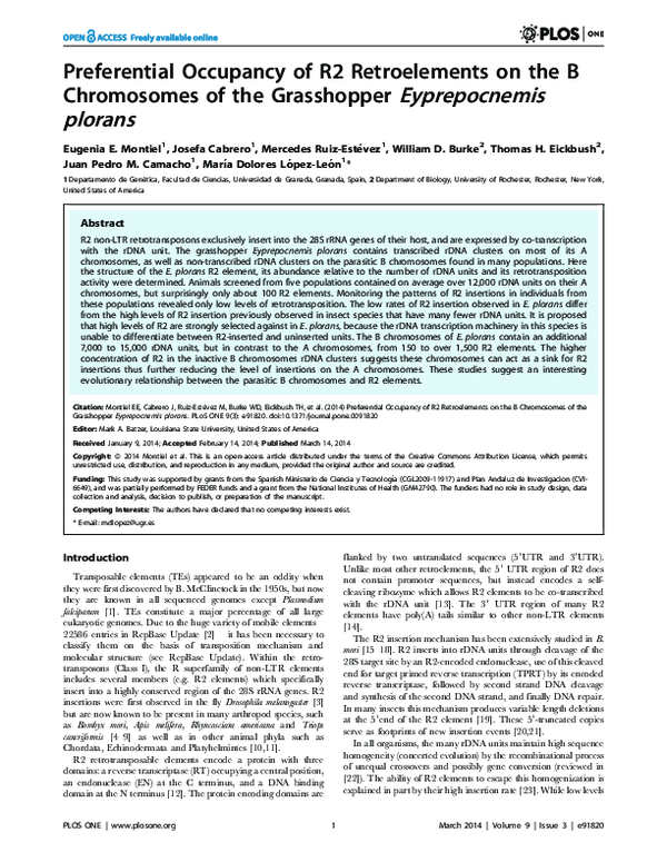 (PDF) Preferential Occupancy of R2 Retroelements on the B Chromosomes ...