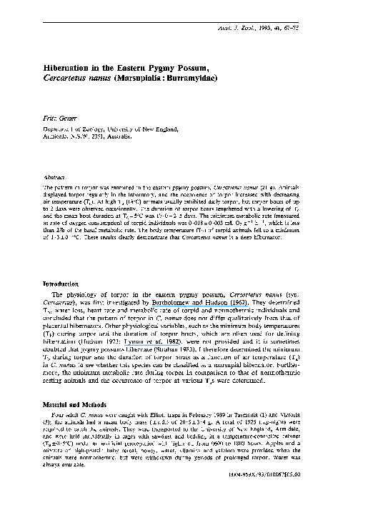 (PDF) Hibernation in the Eastern Pygmy Possum, Cercartetus-Nanus ...