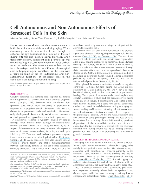 Pdf Cell Autonomous And Non Autonomous Effects Of Senescent Cells In